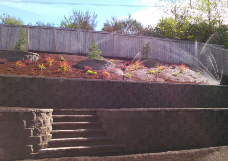 Landscaping & Irrigation Company in North Bend